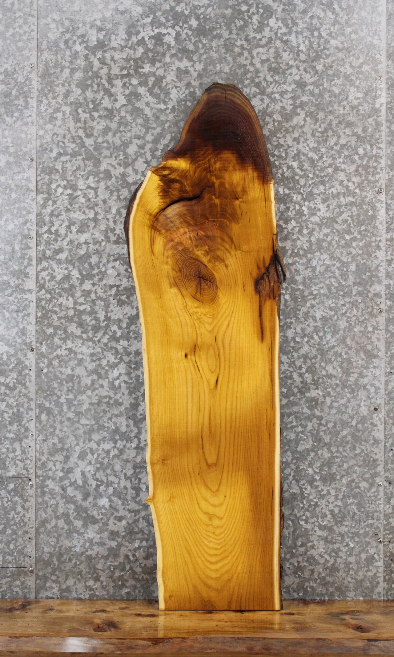 Yellow Mulberry Live Edge Coffee Table/Bench Slab 1379 | Lumber Shack