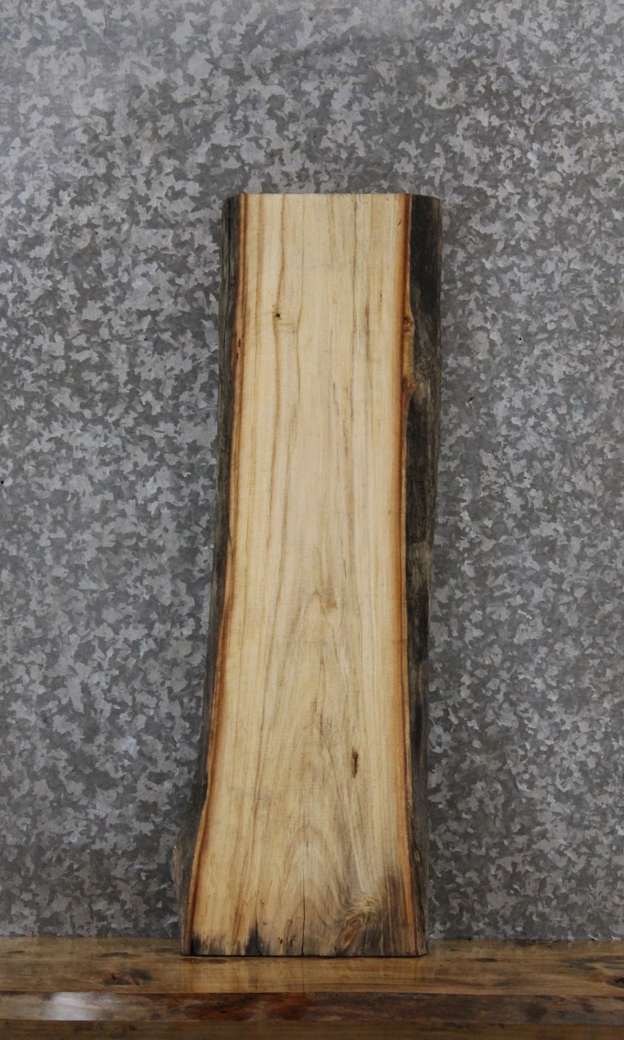 Elm Live Edge Mantel/Taxidermy Slab 1711 | Lumber Shack