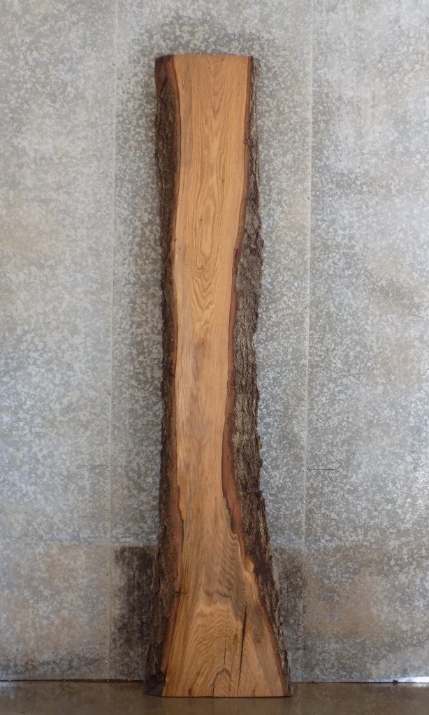 Live Edge Bark Red Oak Rustic Bar/Table Top Wood Slab CLOSEOUT 20463 ...