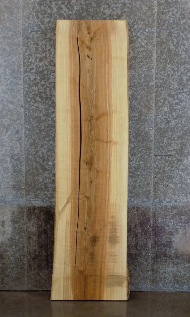 Rustic Live Edge Ash Epoxy Project/Table Top Wood CLOSEOUT 39112 ...