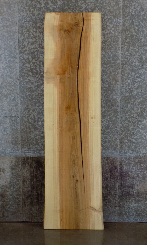 Rustic Live Edge Ash Epoxy Project/Table Top Wood CLOSEOUT 39112 ...