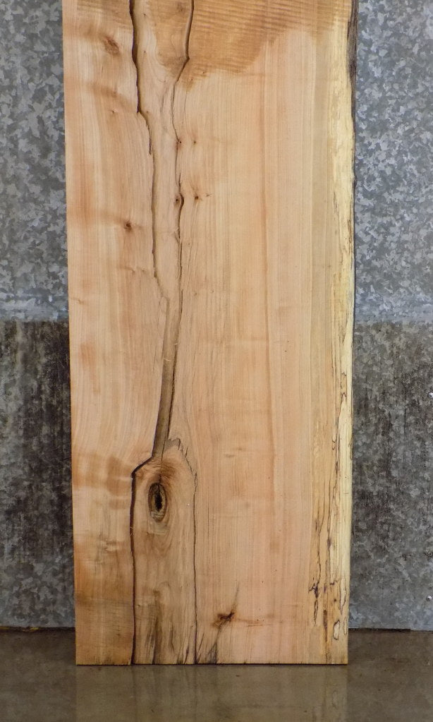 3- Partial Live Edge Maple Split Board Table Top Slab CLOSEOUT 39224-3