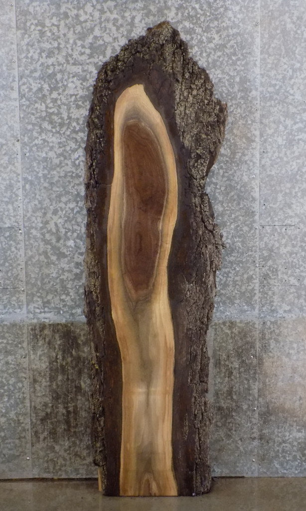 Rustic Live Edge Bark Black Walnut Bar/Table Top Slab CLOSEOUT 39436 ...