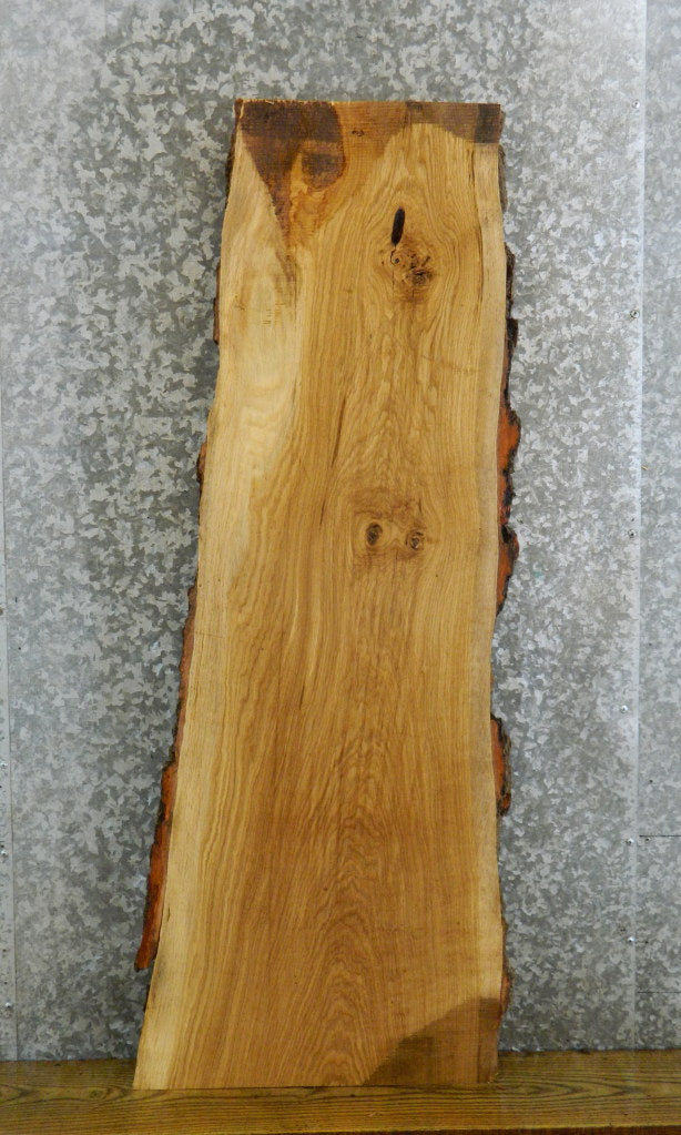 White Oak Rustic Live Edge Bark Slab CLOSEOUT 571 – Lumber Shack